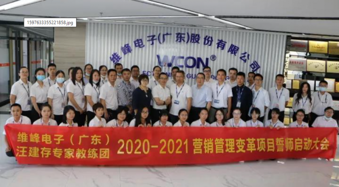 中国 WCON ELECTRONICS ( GUANGDONG) CO., LTD 会社概要